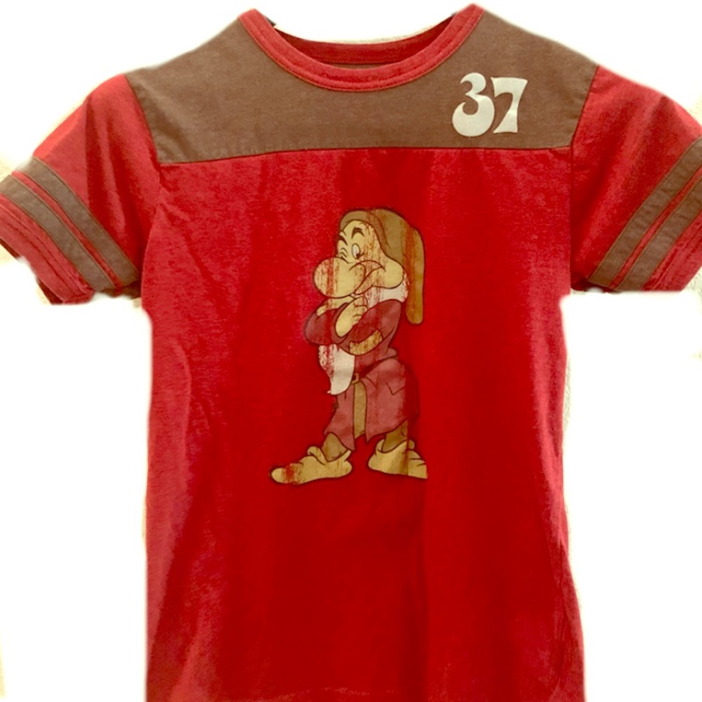 Disneyland Park Vintage Grumpy T-Shirt - Gem